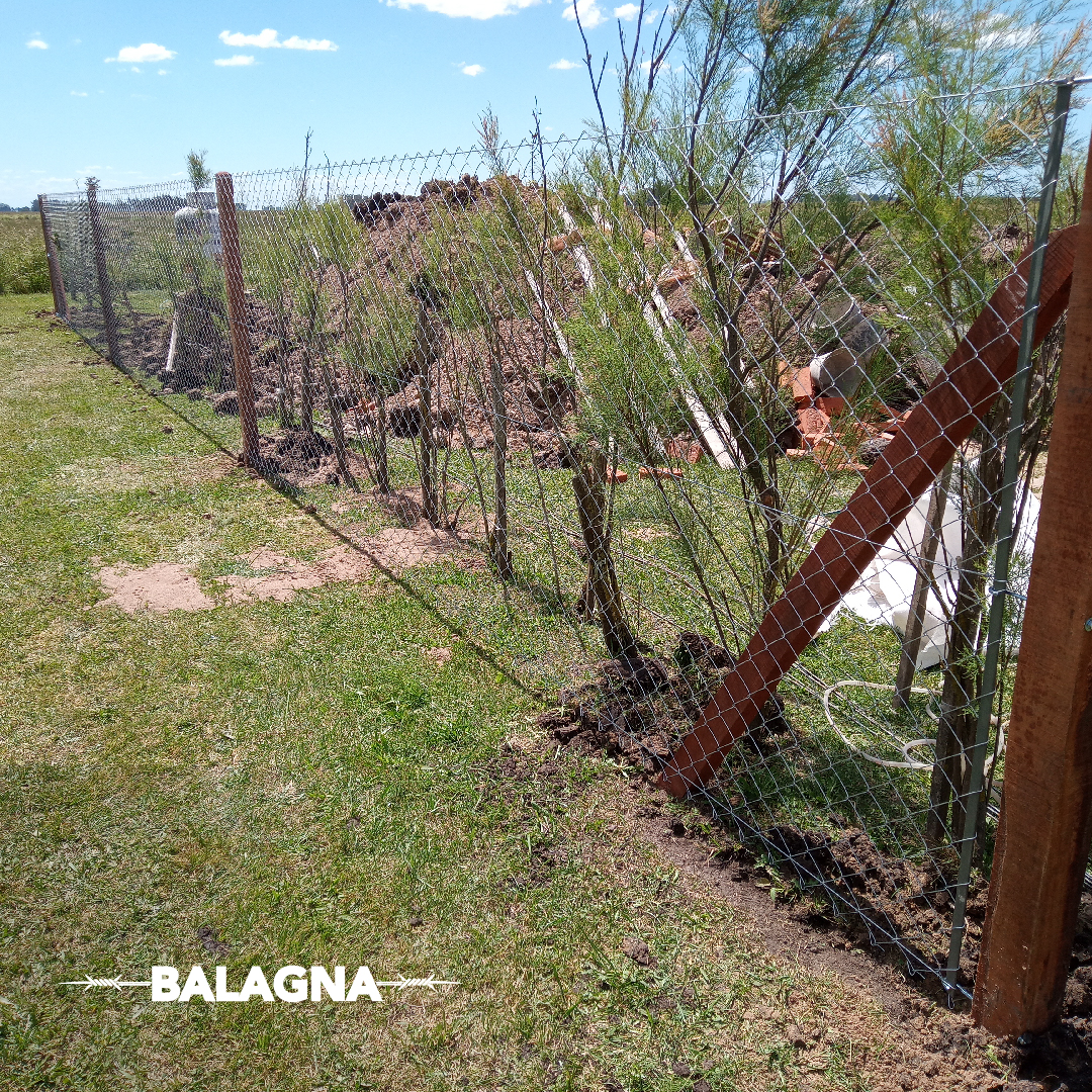 Home - Alambres Balagna