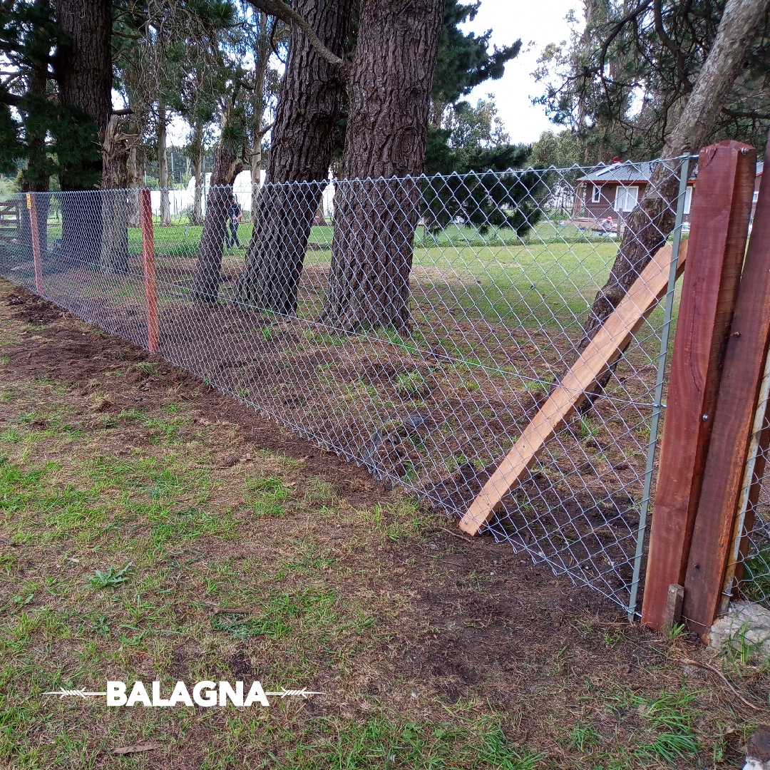 Home - Alambres Balagna
